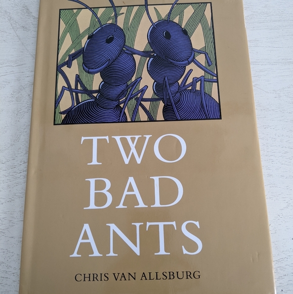 Other | 1988 Two Bad Ants Chris Van Allsburg Hard Cover | Poshmark
